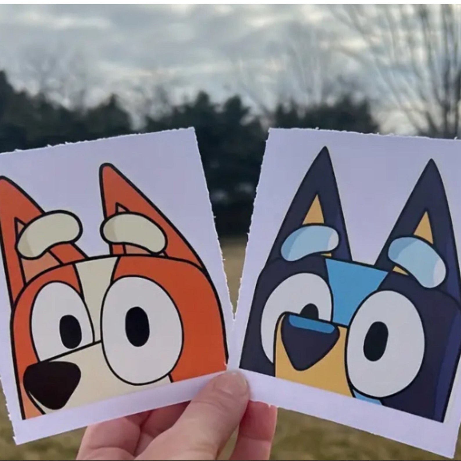 SALE Bluey Car Sticker BLUEY and BINGO Inspired Car Stickers, Dog ...