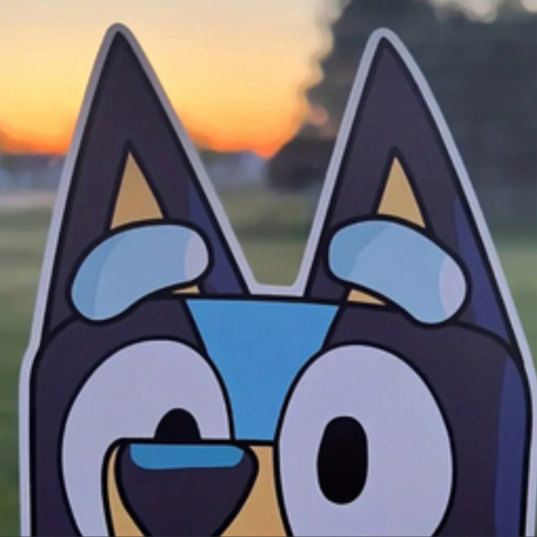 SALE Bluey Car Sticker BLUEY and BINGO Inspired Car Stickers, Dog ...