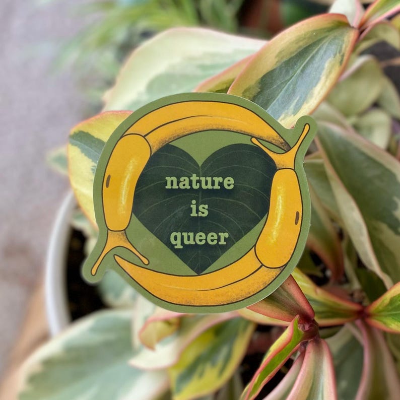 Nature is Queer Sticker - Etsy