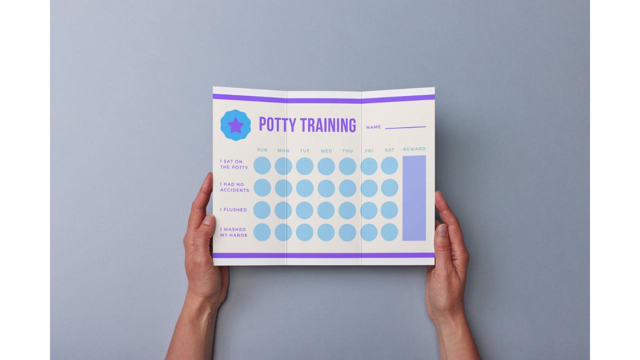 Potty Training Bundle - Etsy