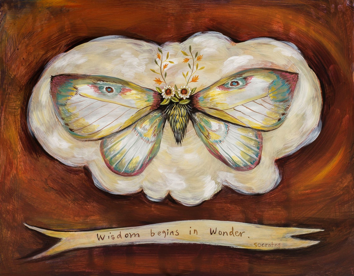 Inspirational Quote Wall Art Paper Print Canvas Print Moth - Etsy