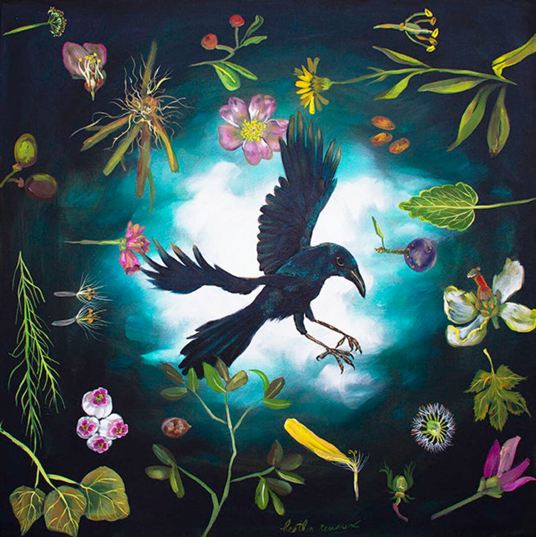 Raven Blackbird in Flight, Animal Art, Fine Art Print, Unframed ...