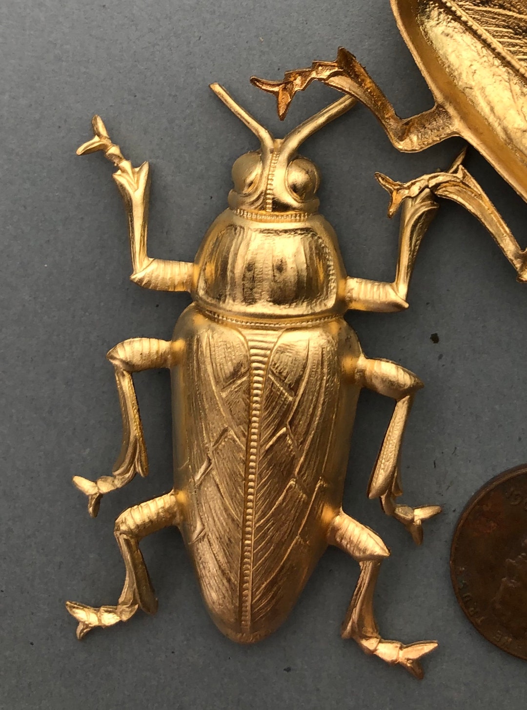 Brass Bug Finding Stamping - Bigger - Etsy