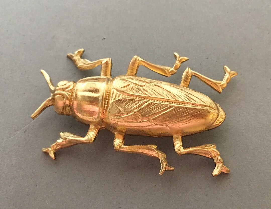 Brass Bug Finding Stamping Beetle Medium - Etsy España