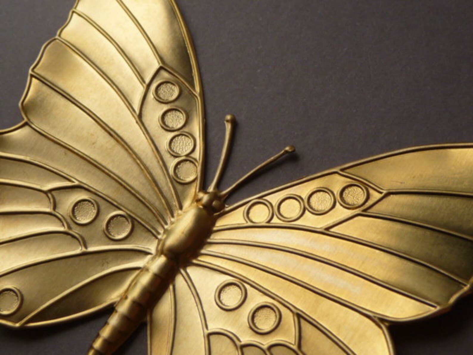 Brass Butterfly Stamping - Huge Insect - Etsy