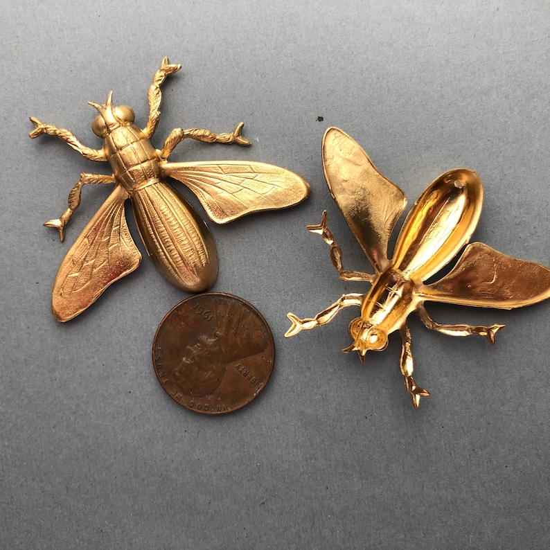 Brass Bug Insect Stamping - Large - Etsy