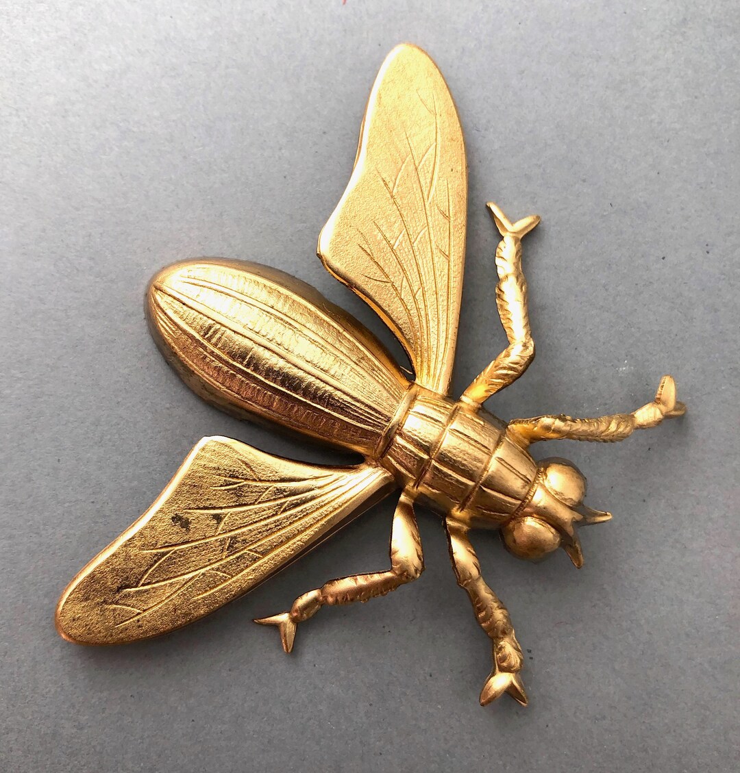 Brass Bug Insect Stamping - Huge - Etsy