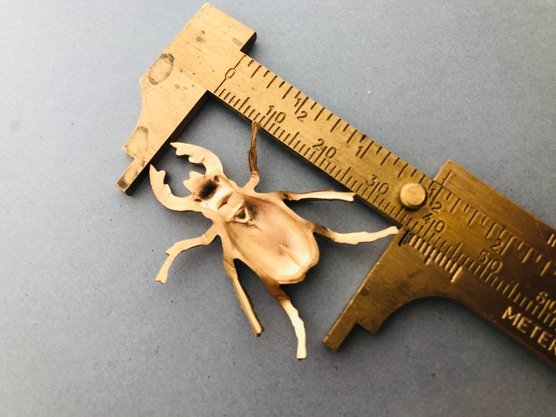 Brass Bug 3-D Stag Beetle Scarab Die Struck Insect - Etsy