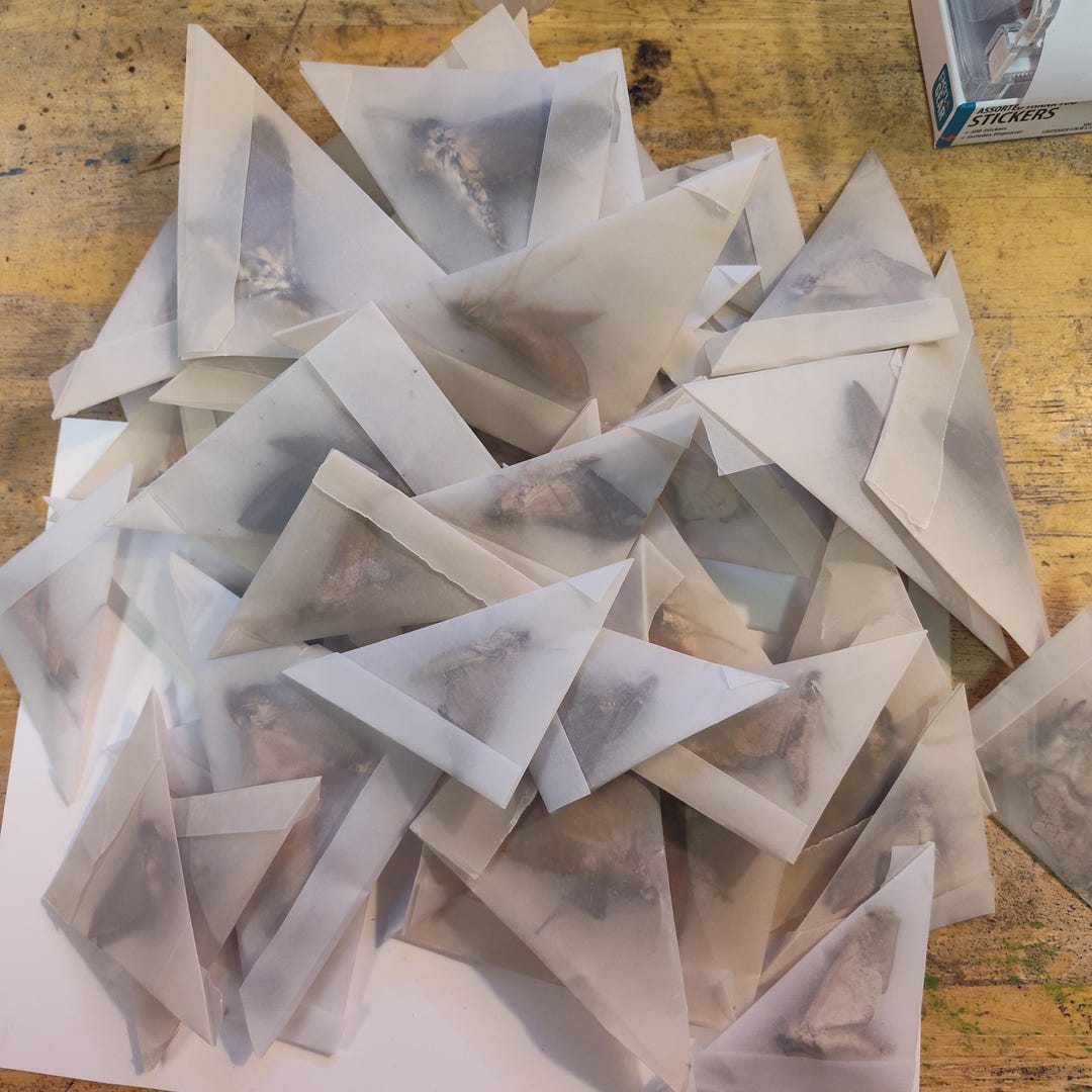 50 A-1 Sphingidae Sphinx Hawk Moths Cameroon - Etsy