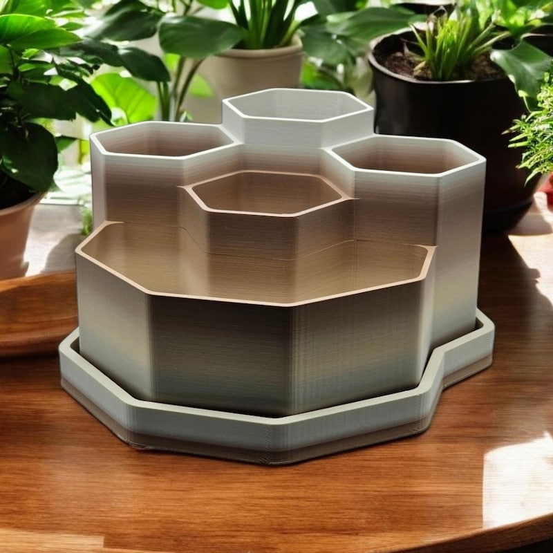 Succulent Multi Planter - Etsy