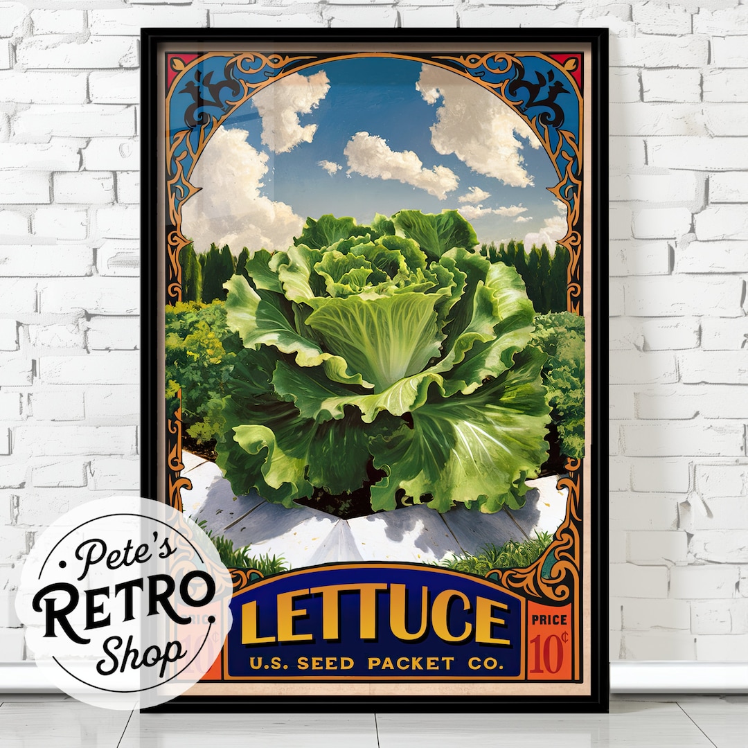 Lettuce Seed Packet Poster or Canvas. Vintage Framed Retro Kitchen Wall ...