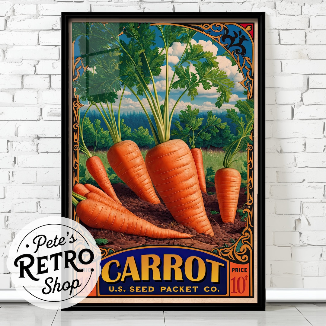 Carrot Seed Packet Kitchen Wall Art. Vintage Framed Retro Poster or ...