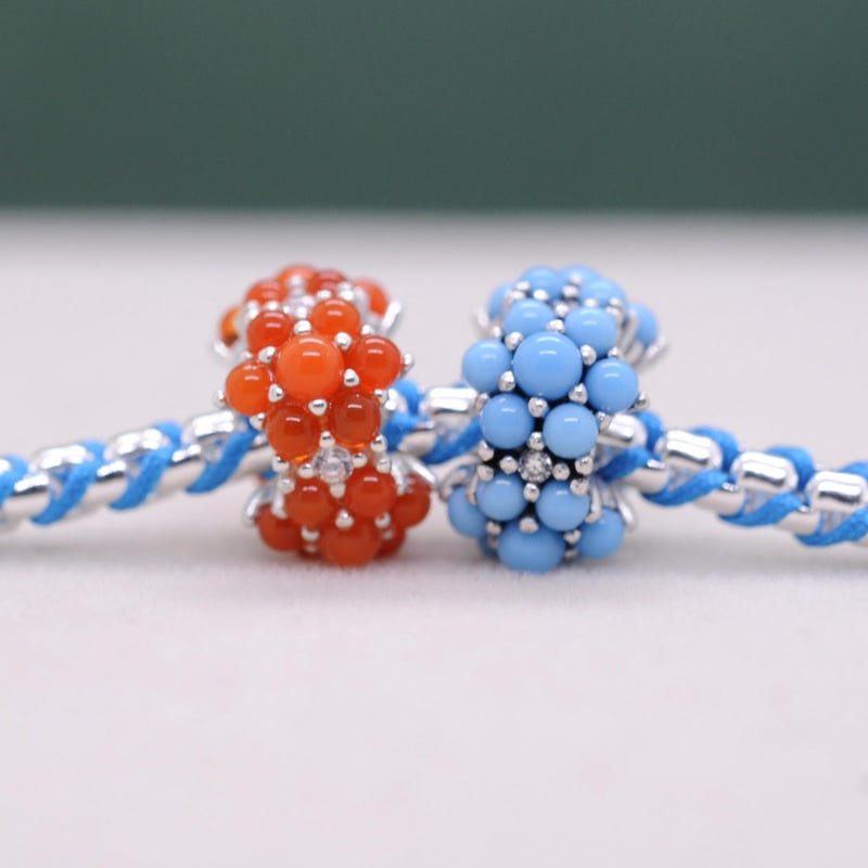 Pandora Charm Coral - Etsy