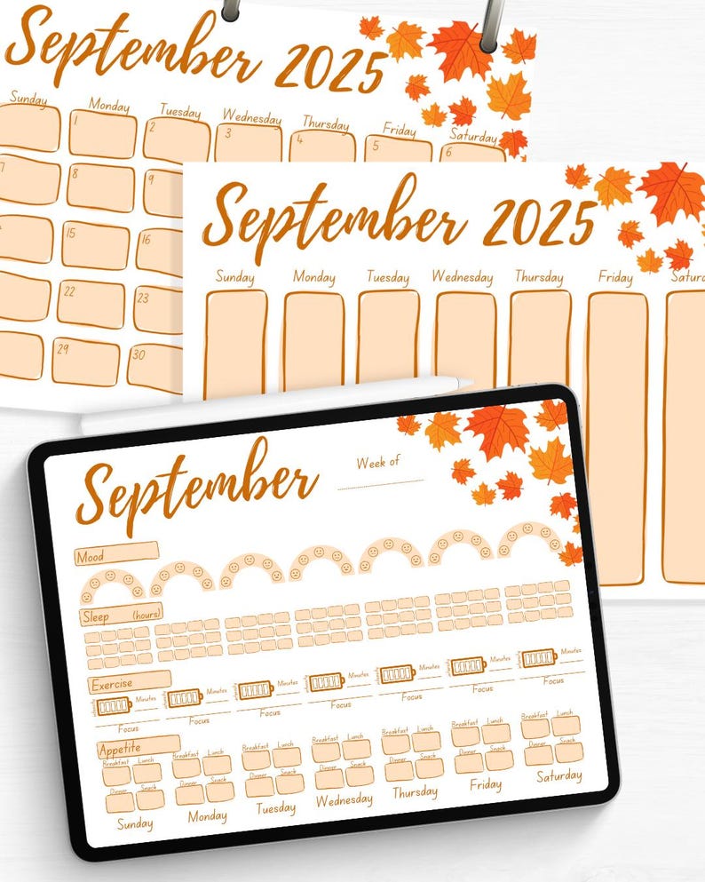 2025 and 2026 Monthly Printable Planning Calendar - Etsy