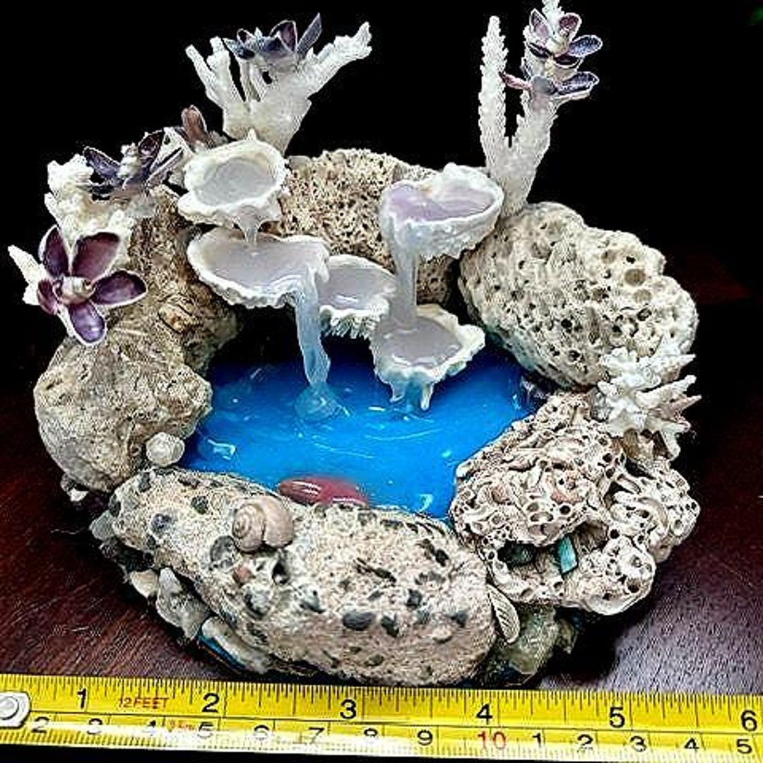 Shells, Shellcraft, Waterfall, Coral - Etsy