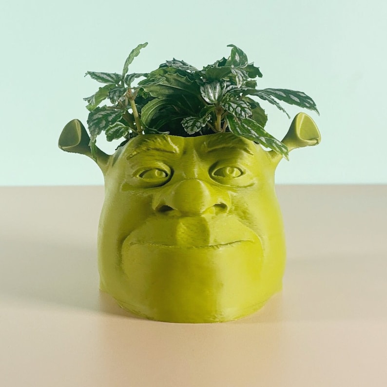 Unique Shrek Head Planter Pot - Cactus Pot and Pen Holder - FAST ...