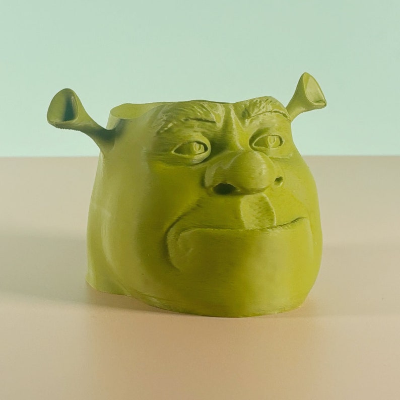 Unique Shrek Head Planter Pot - Cactus Pot and Pen Holder - FAST ...