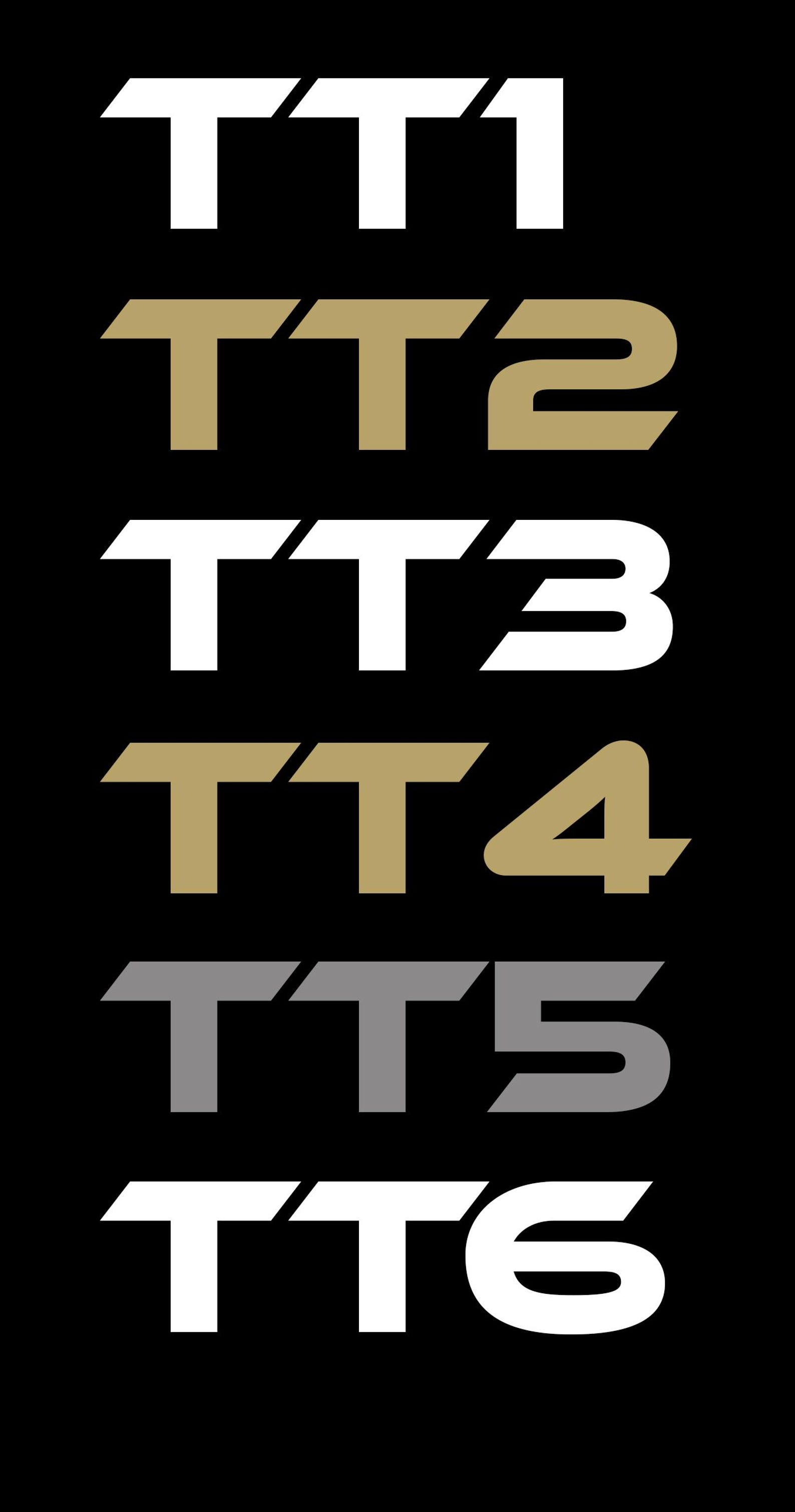 Nasa Time Trial TT Numbers - Etsy