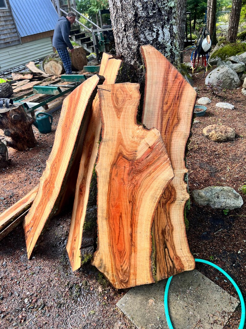 Live Edge Wood Maple Planks, Boards - Etsy