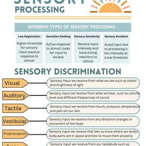 Occupational Therapy Sensory Processing Infographic - Etsy
