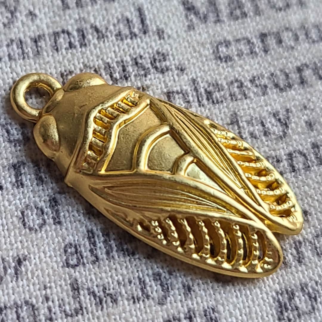 Cicada or Locust Charm Gold Plated Bronze Charm 23x11mm 4 Pcs - Etsy
