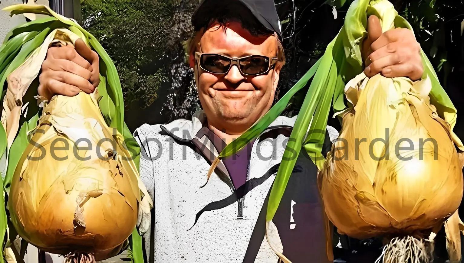 Ailsa Craig Giant Onion Seeds – Heirloom, Sweet, Non-gmo, Organic ...