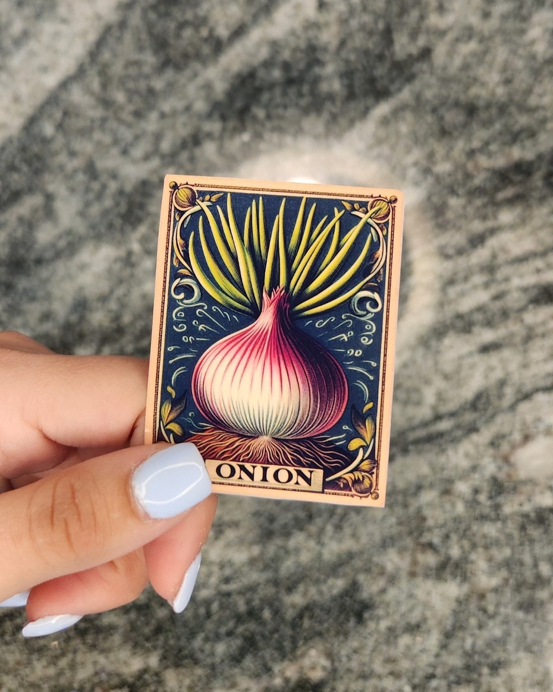 Vintage Onion Seed Packet, Vinyl Waterproof Sticker - Etsy