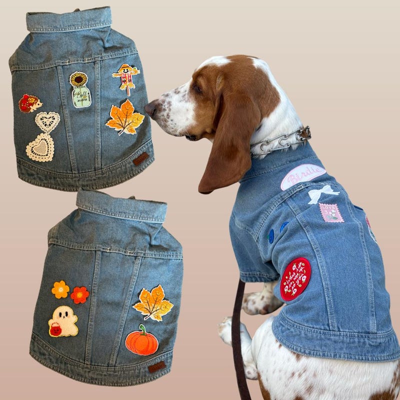Denim Dog Jacket - Etsy