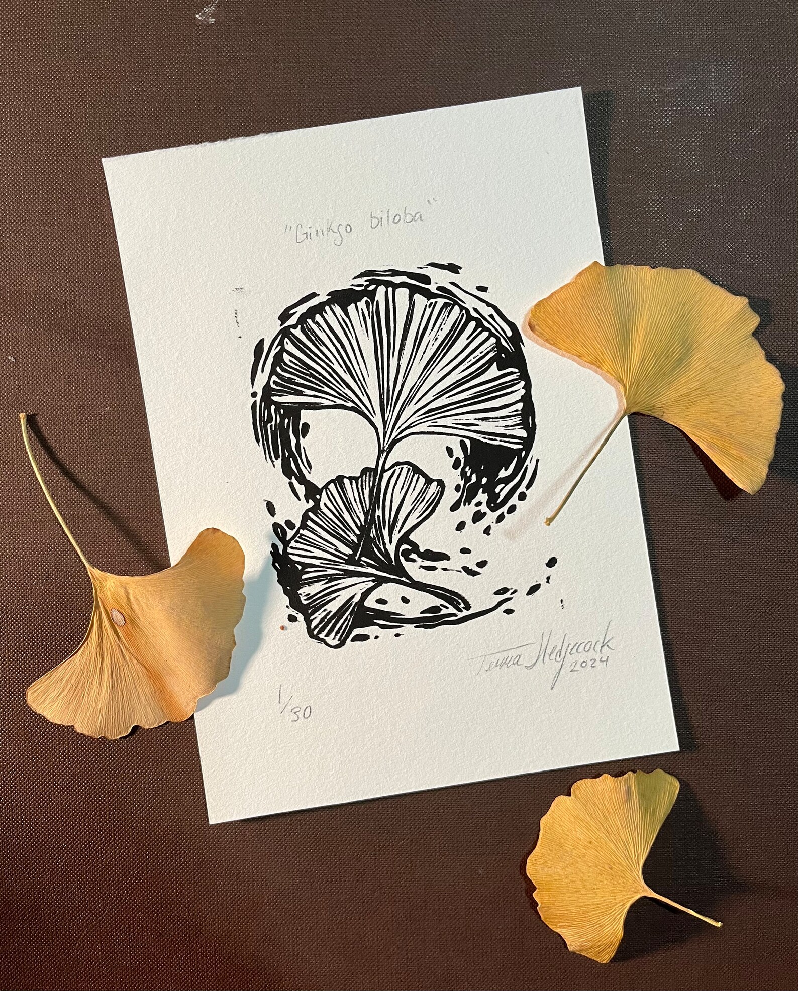 Ginkgo Biloba • Block Print of Ginkgo Leaf • Original Illustration and ...