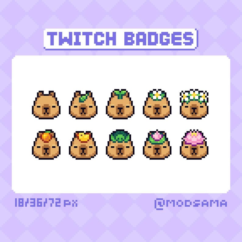 Cute Capybara Cartoon Pixel Twitch Sub/ Bit Badges - Etsy