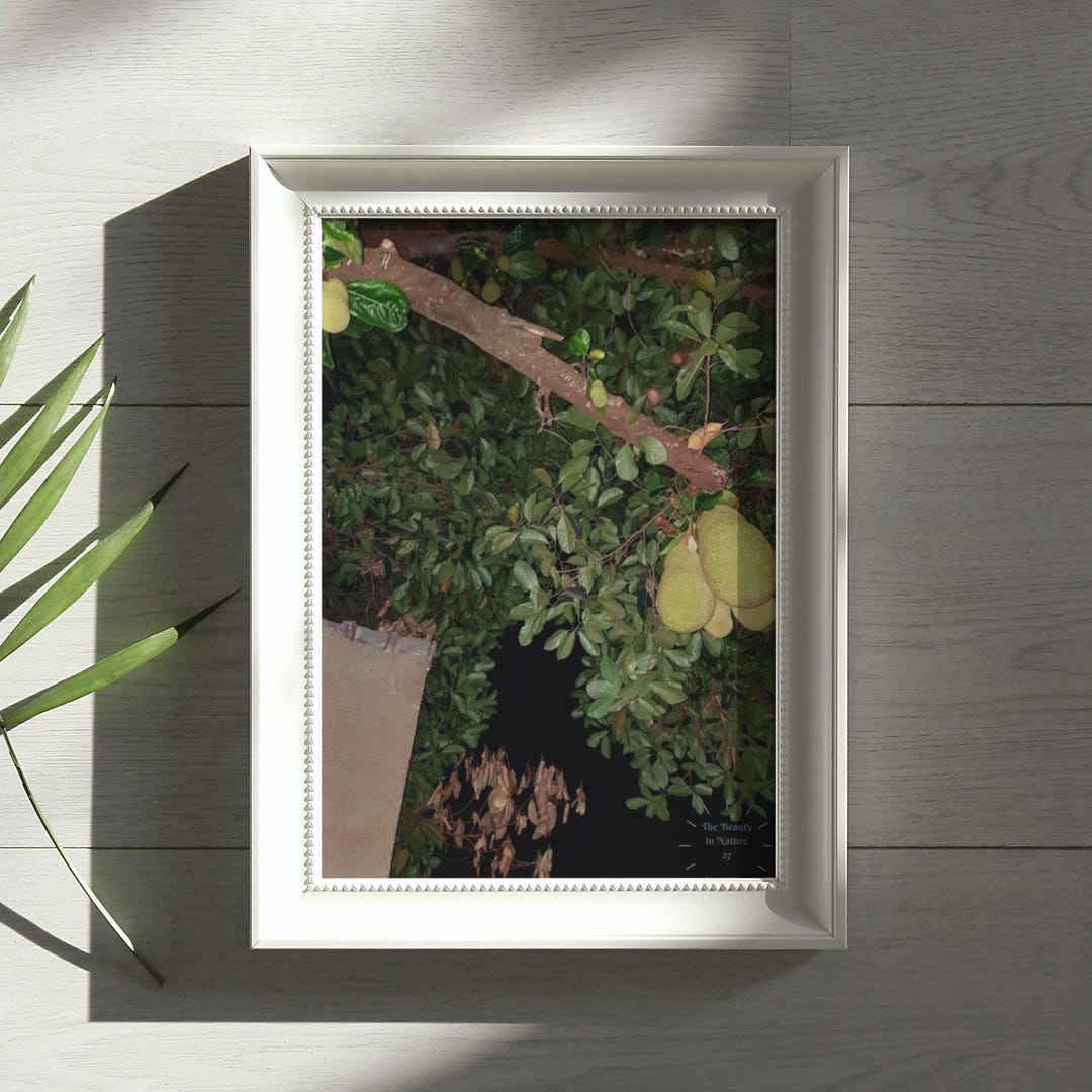 Jackfruit Tree Poster| Fruit Wall Art Print| Kitchen and Dining Room ...