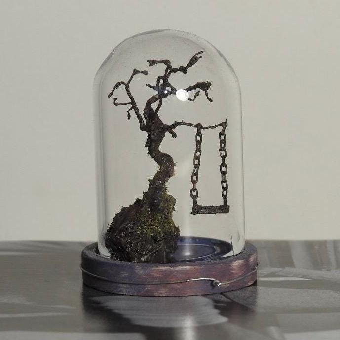 Mini Tree Dome Gardens - Etsy