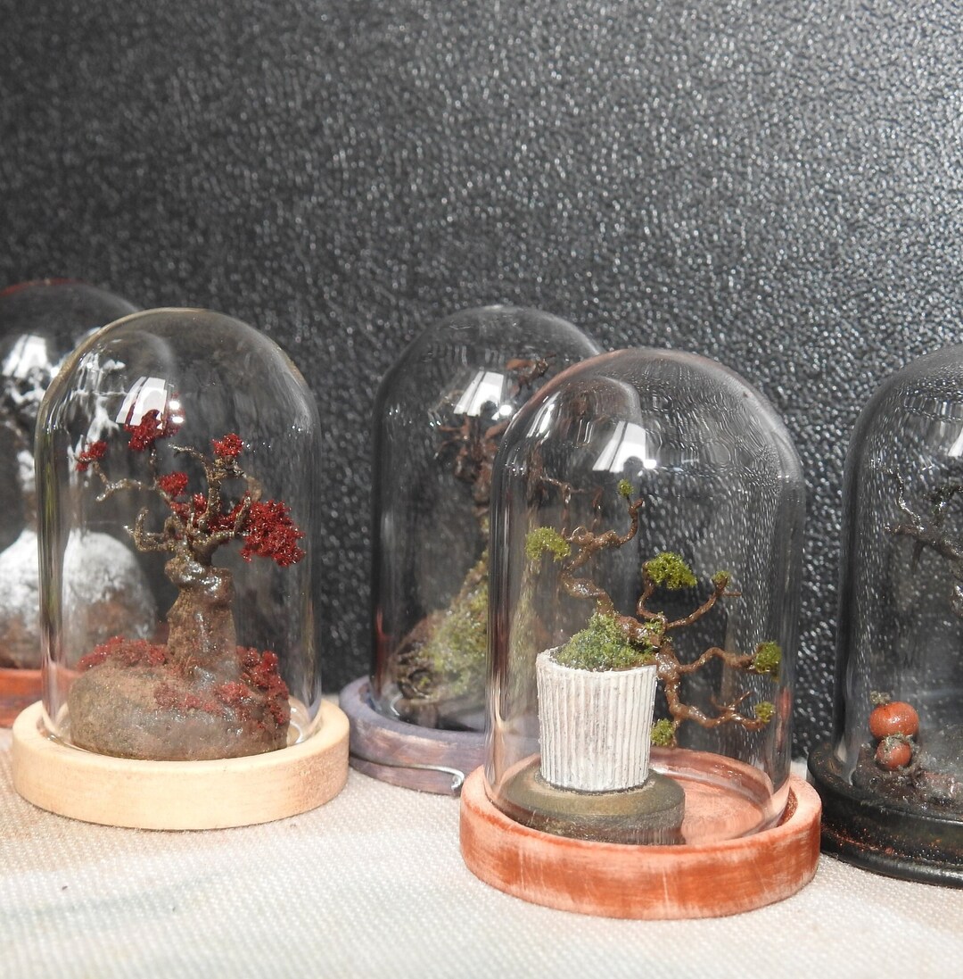 Mini Tree Dome Gardens - Etsy