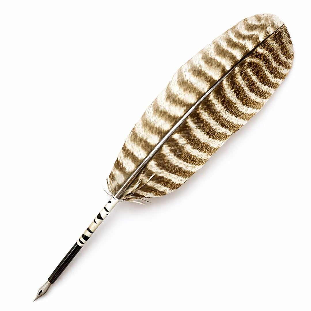 Natural Turkey Feather Quill Pen - Dip Pen - Etsy