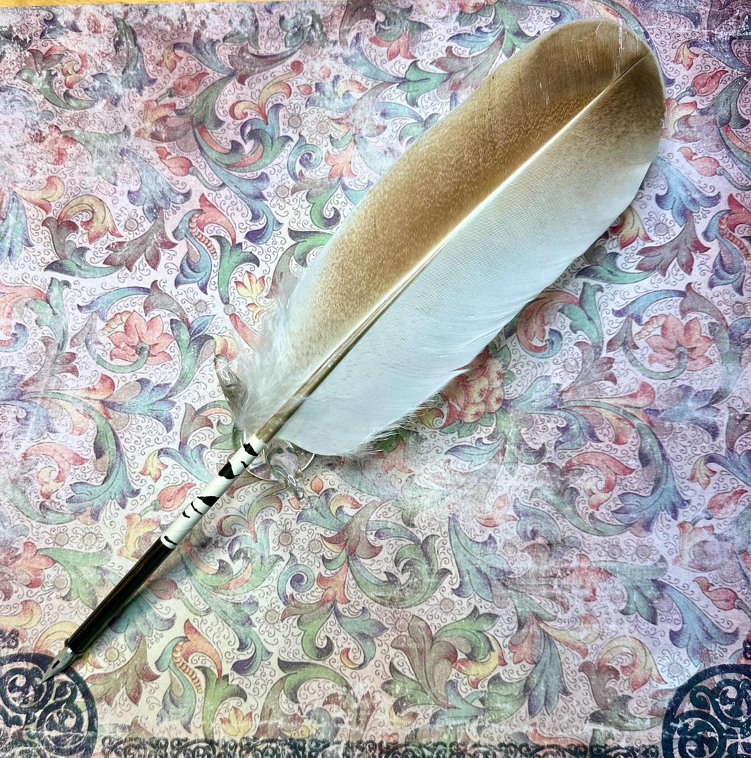 Natural Turkey Feather Quill Pen - Dip Pen - Etsy