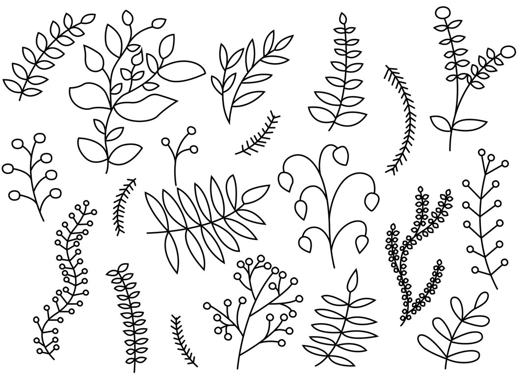 Hand-drawn Botanical Line Art Vector Set - Etsy