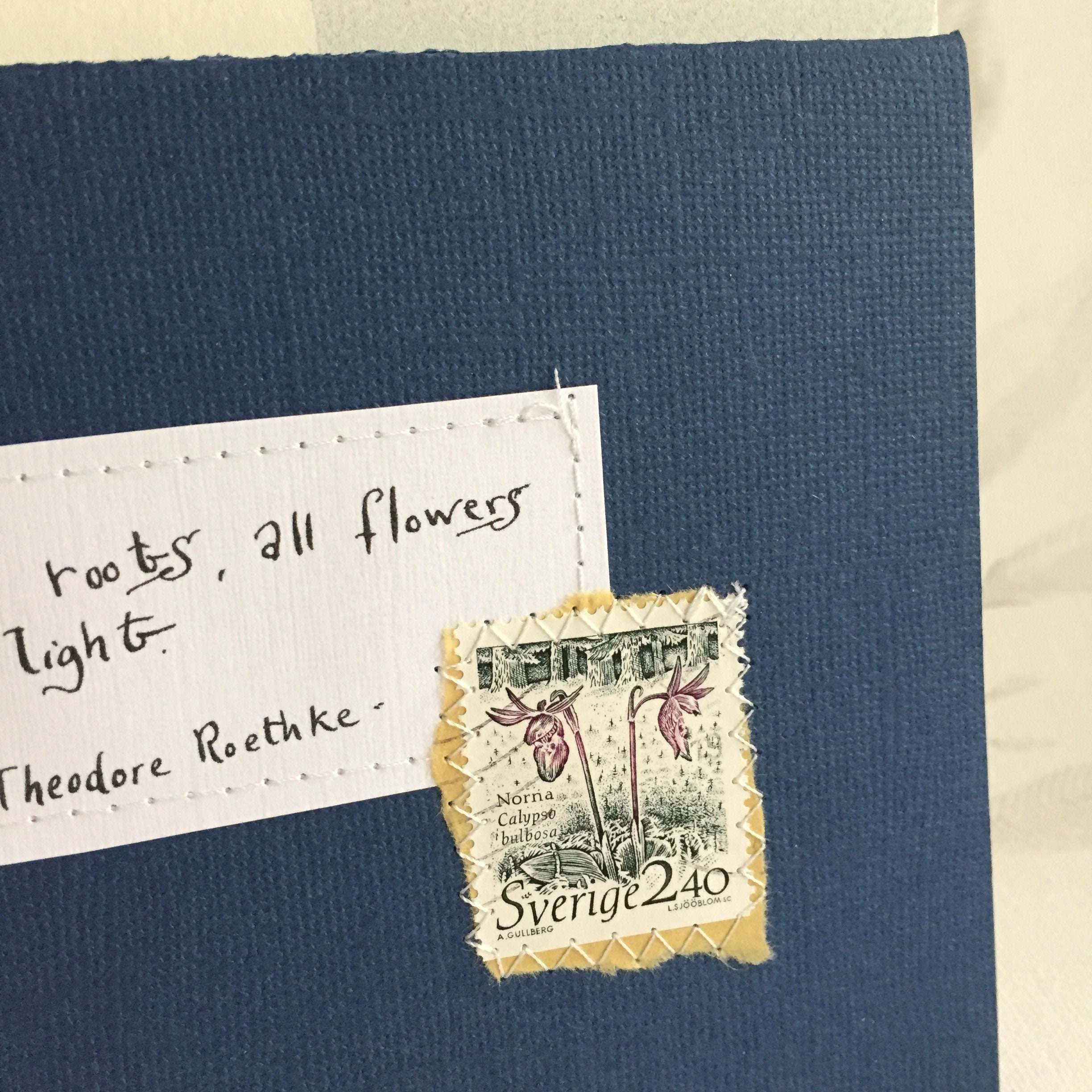 Deep in Their Roots, All Flowers Keep the Light Theodore Roethke Quote ...