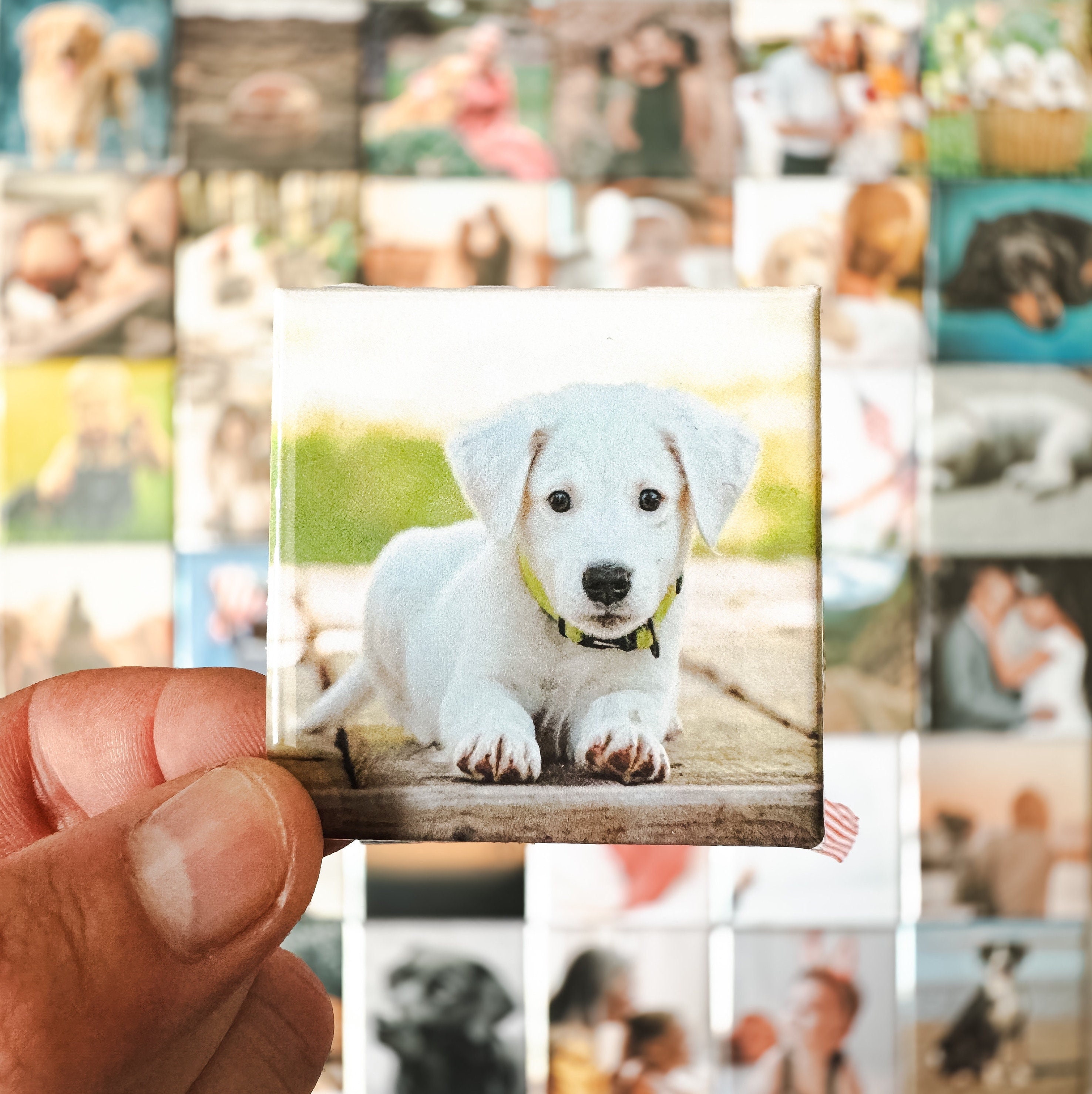 Gift for Dog Lovers, Custom 2x2 Photo Magnets, Gift for Dog Mom, Gift ...