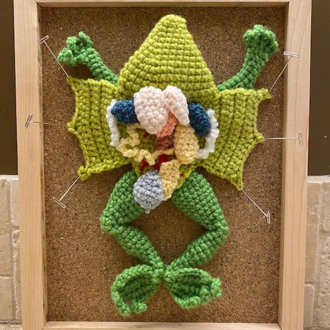 Crochet Dissected Frog, PDF Pattern Only, Amigurumi Wall Hanging, Geek ...