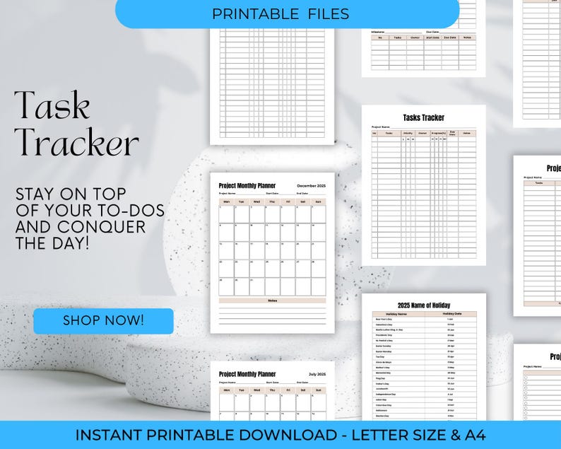 2025 Project Planner, Business Planner, 2025 Finance Planner, Project ...
