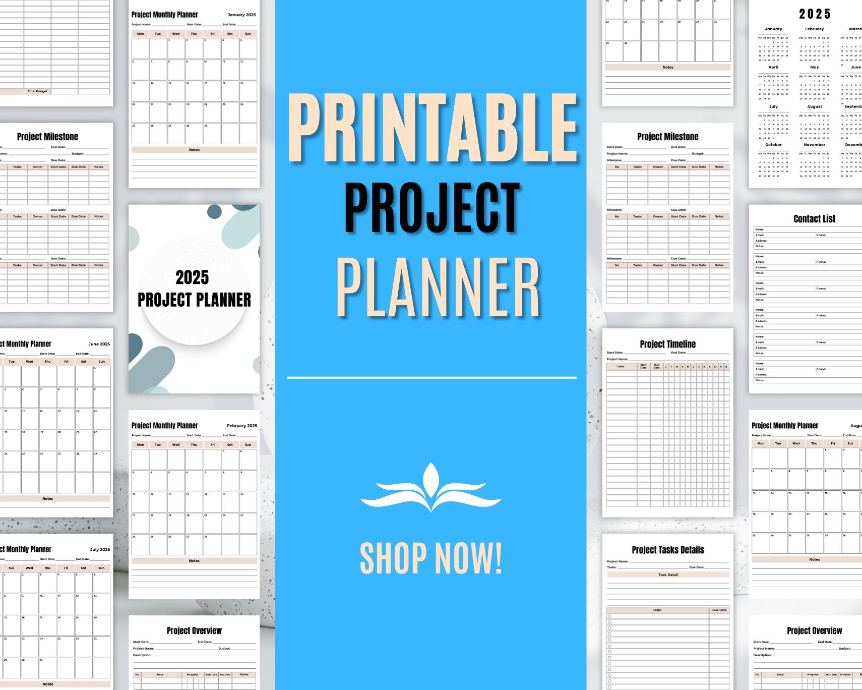 2025 Project Planner, Business Planner, 2025 Finance Planner, Project ...