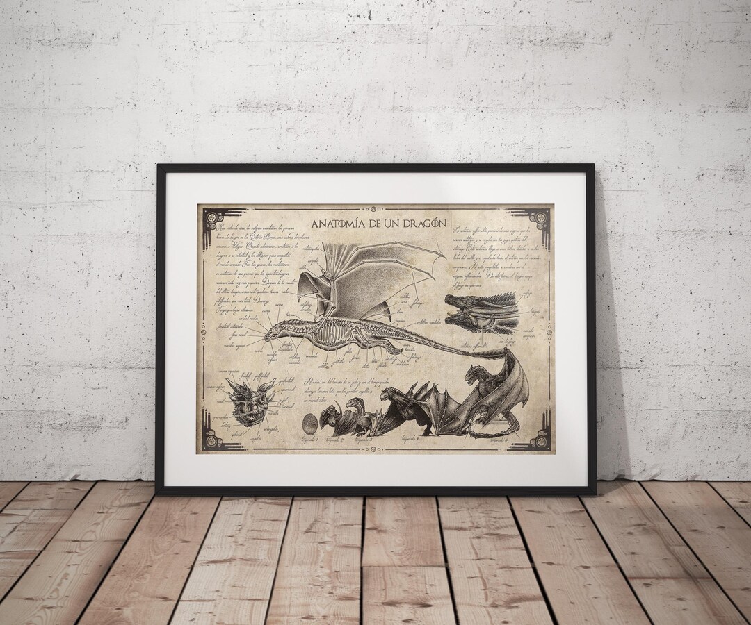 Dragon Anatomy Art, Fantasy Creature Poster, Mythical Beast ...