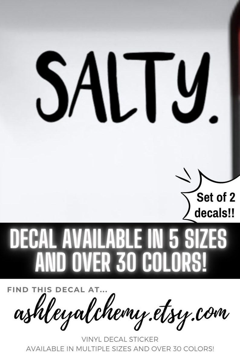 SALTY. Vinyl Decal Bumper Sticker Set of 2 Salty Beach | Etsy