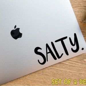SALTY. Vinyl Decal Bumper Sticker, Set of 2!! Salty Beach, Salty Bitch ...