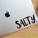 SALTY. Vinyl Decal Bumper Sticker Set of 2 Salty Beach - Etsy
