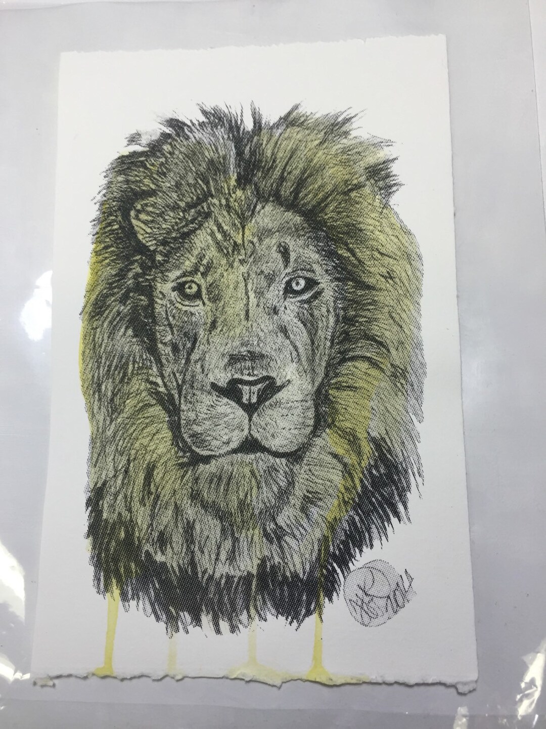 Lion Screen Print - Etsy