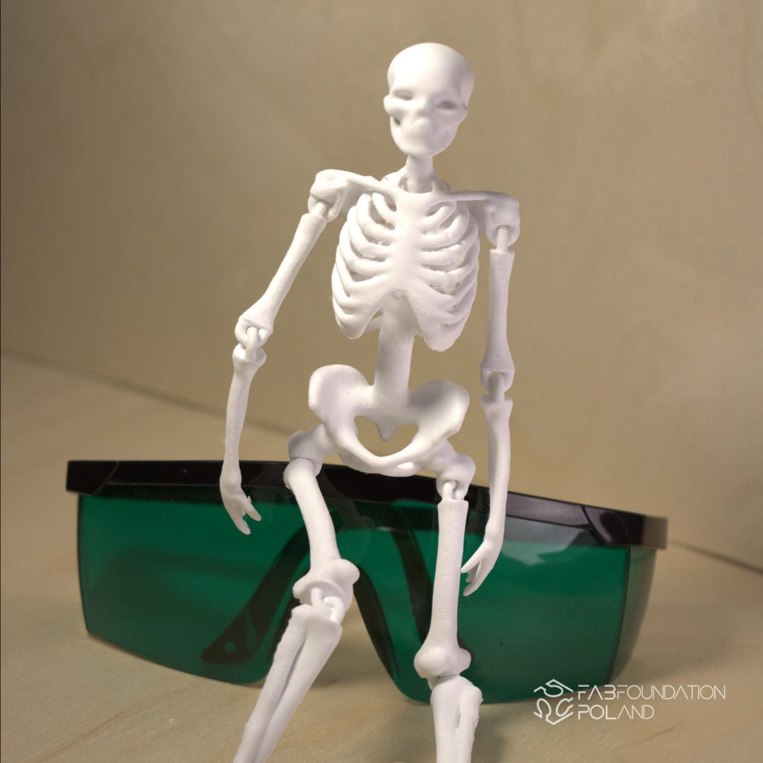 Anatomical Flexi Skeleton – 3D Printable Model - Etsy