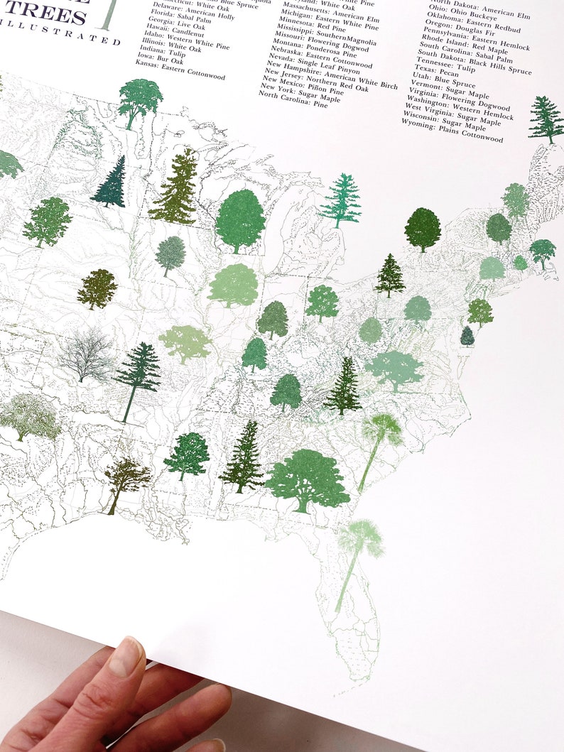 STATE Treescape Map Drawing art Print 50 State Trees America - Etsy