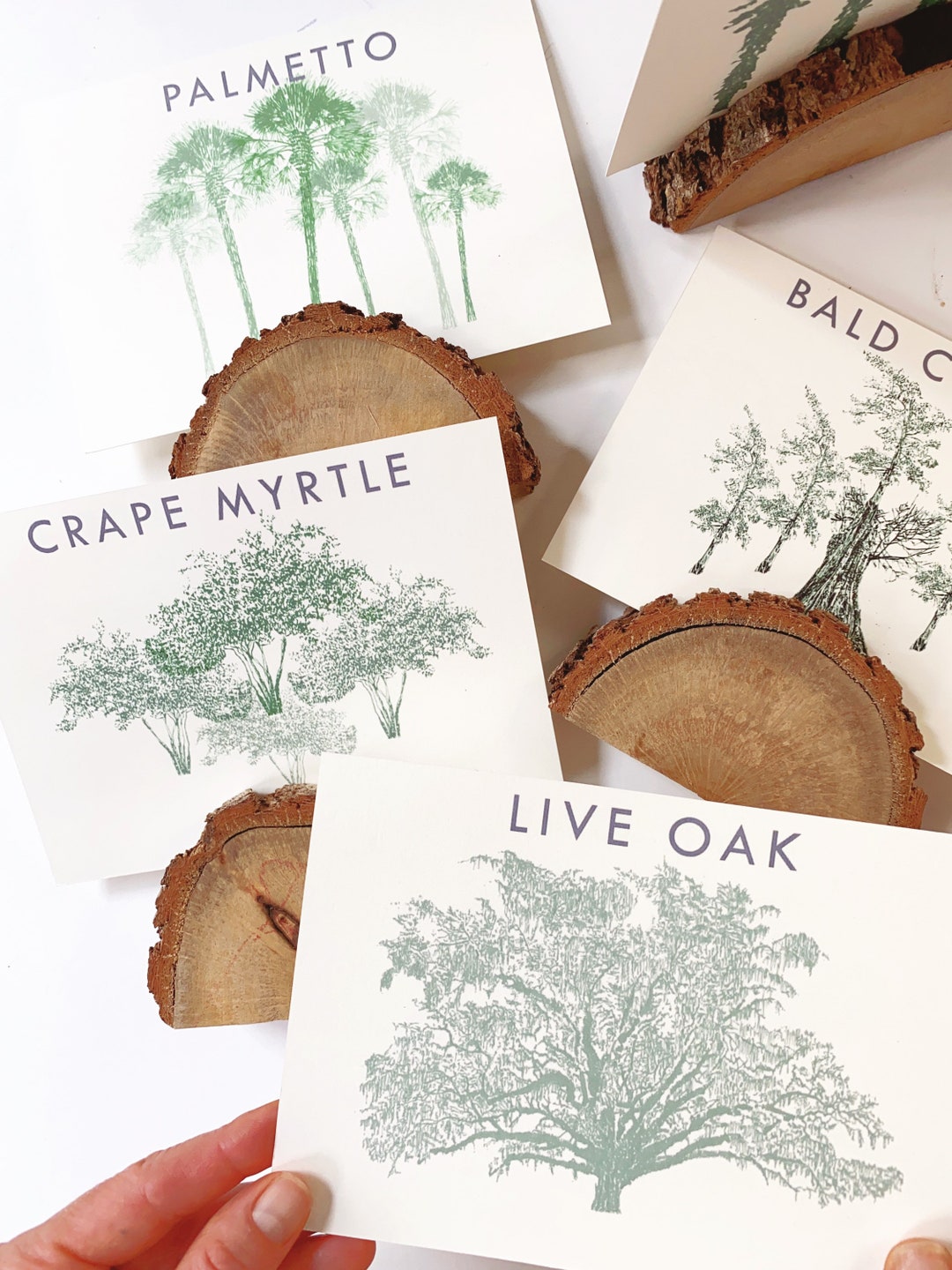 Wedding Table Cards TREES Among the Forest Woodsy Rustic Wedding Choice ...