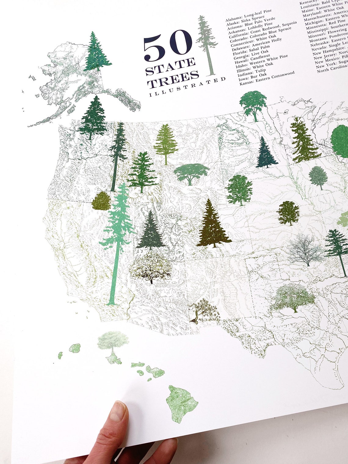 STATE Treescape Map Drawing art Print 50 State Trees America - Etsy